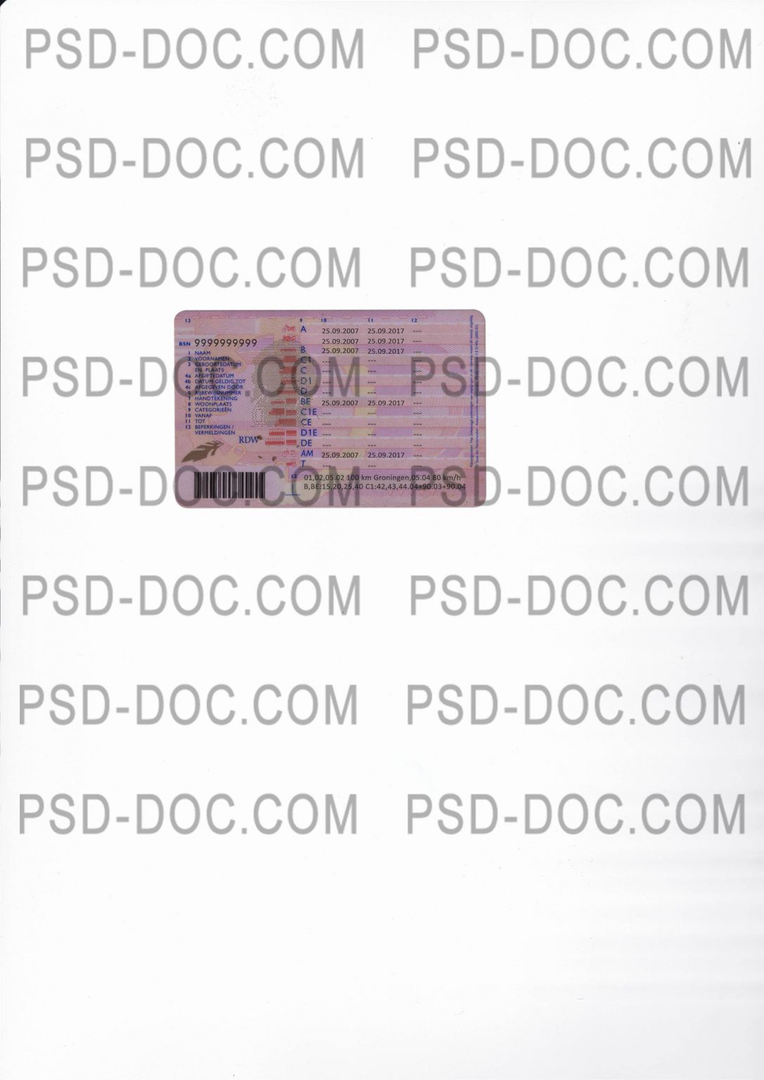 NL Driver License front + back - PSD Store