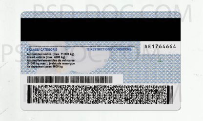 Canada Ontario Driver License front + back - PSD Store