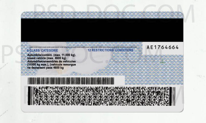 Canada Ontario Driver License front + back - PSD Store