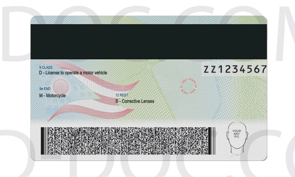 USA Ohio Driver License front back sides - PSD Store