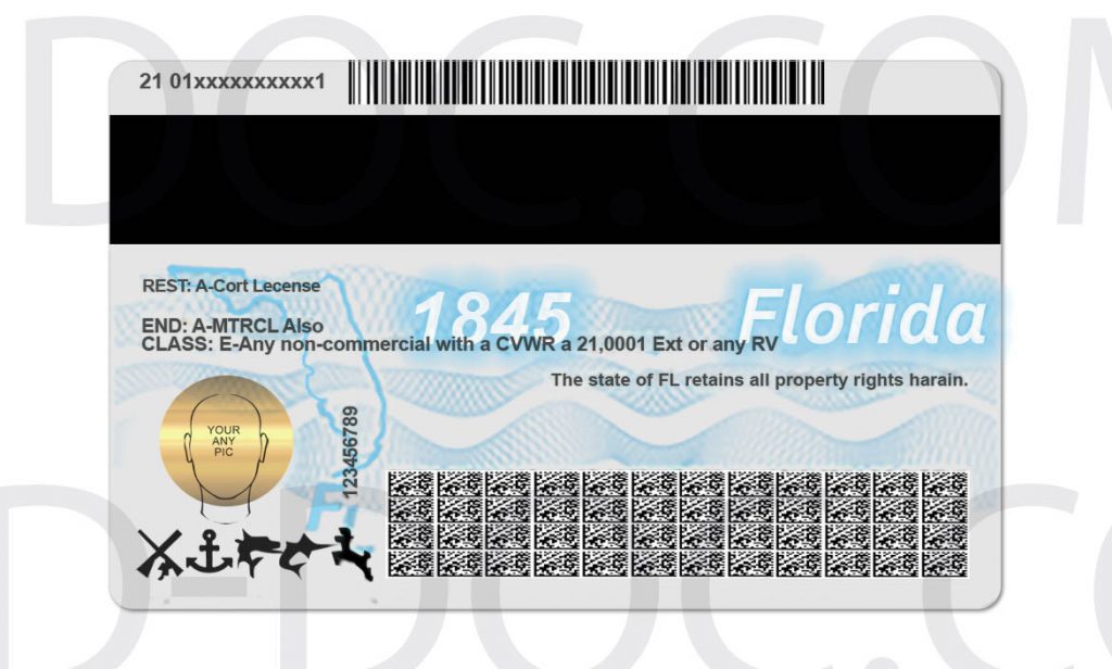 USA Florida Driver License front back sides - PSD Store