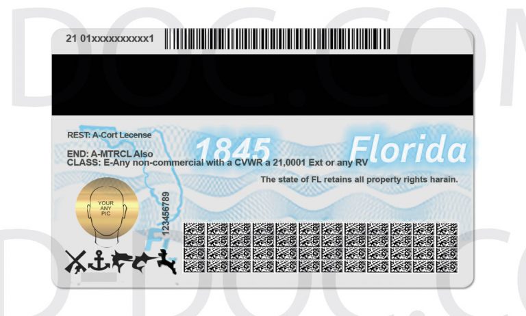 USA Florida Driver License front back sides - PSD Store