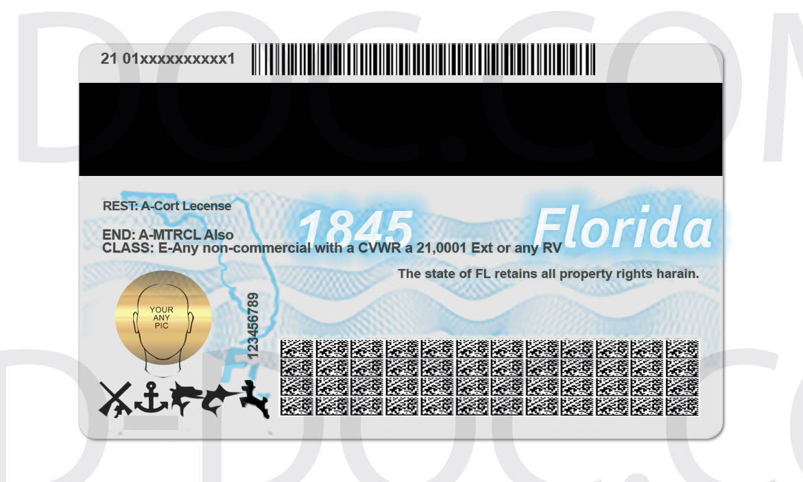 USA Florida Driver License front back sides - PSD Store
