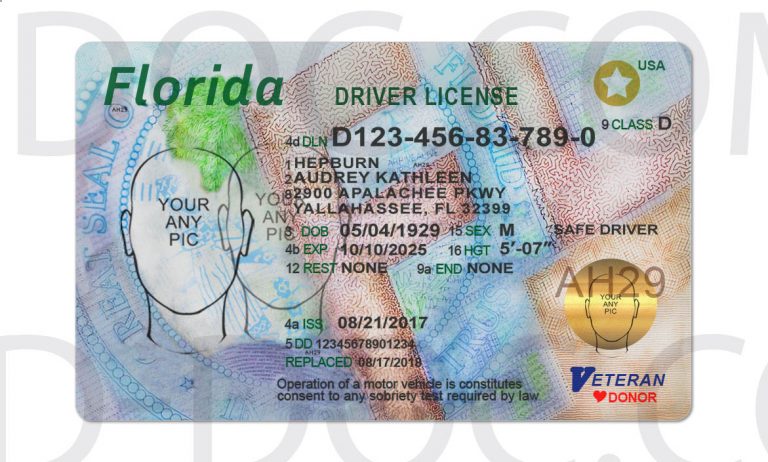 USA Florida Driver License front back sides - PSD Store