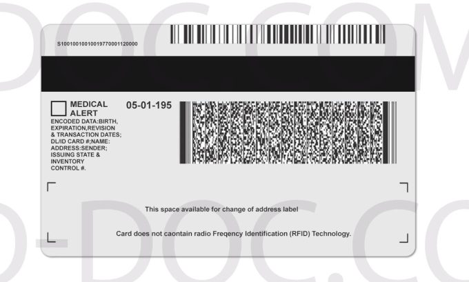 USA Michigan Driver License front back sides - PSD Store