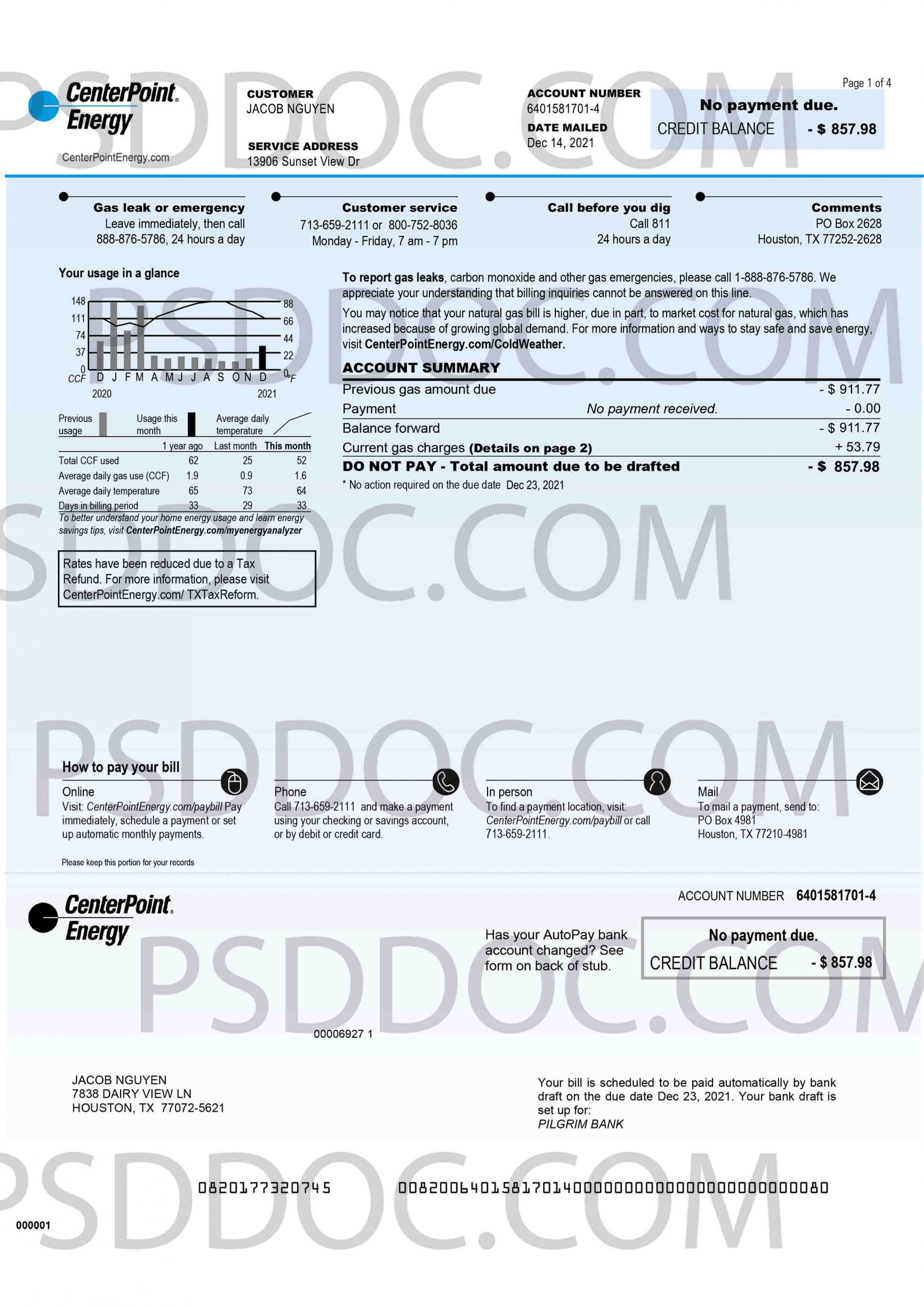Utility bill USA - ConterPiont (energy) - PSD Store