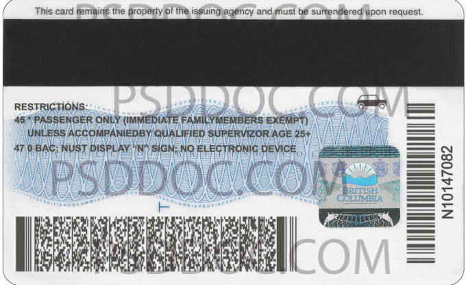 Canada British_Columbia Driver License front back sides - PSD Store Canada British_Columbia Driver License front back sides - PSD Store