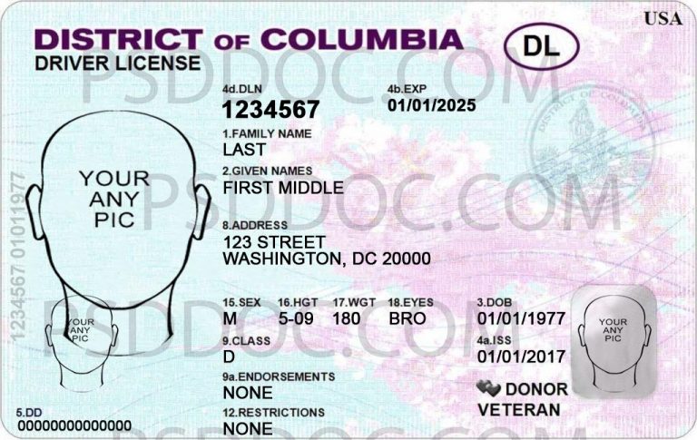USA Disctrict of Columbia Driver License front back sides - PSD Store