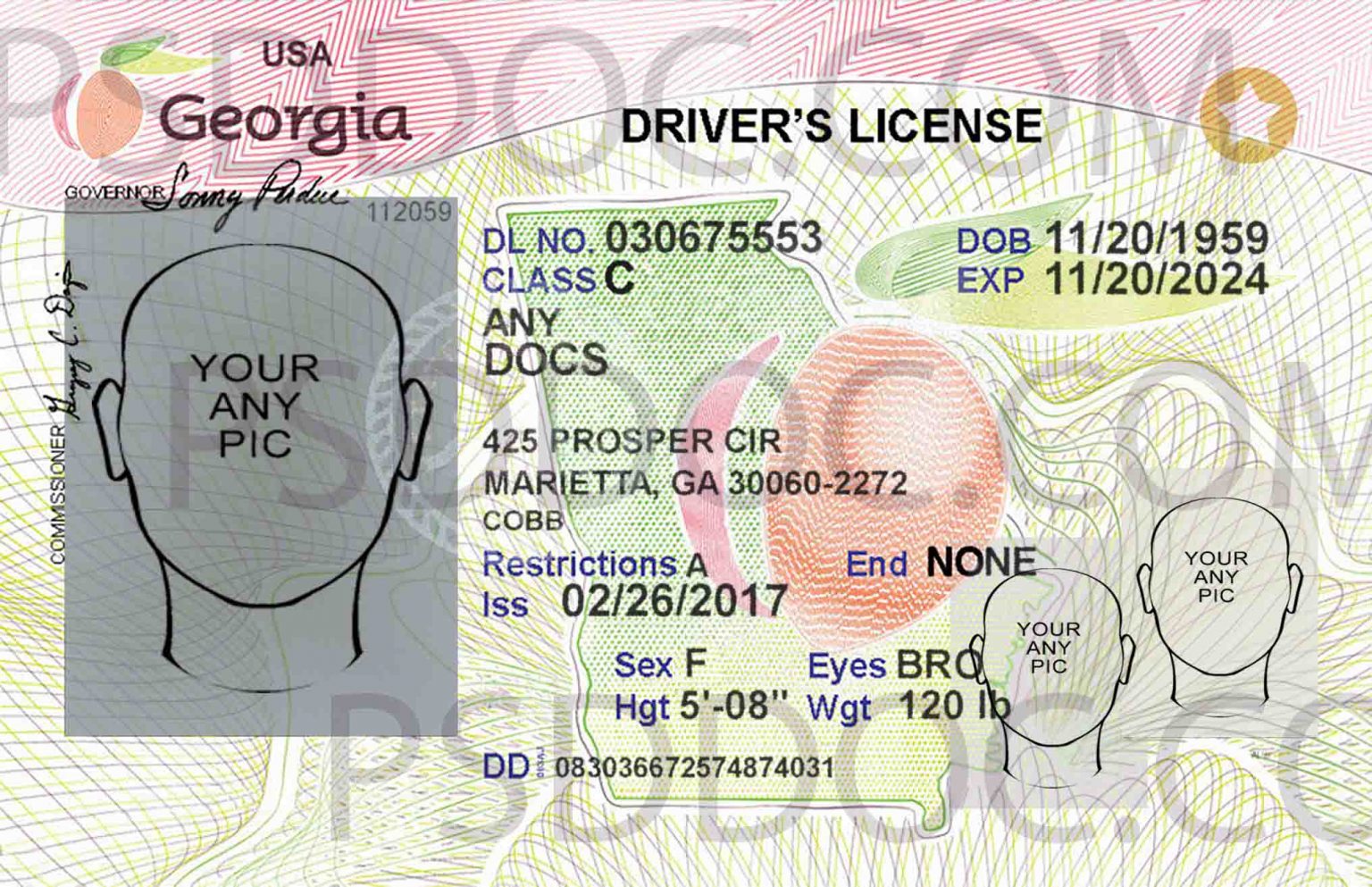 USA Georgia Driver License front back sides - PSD Store