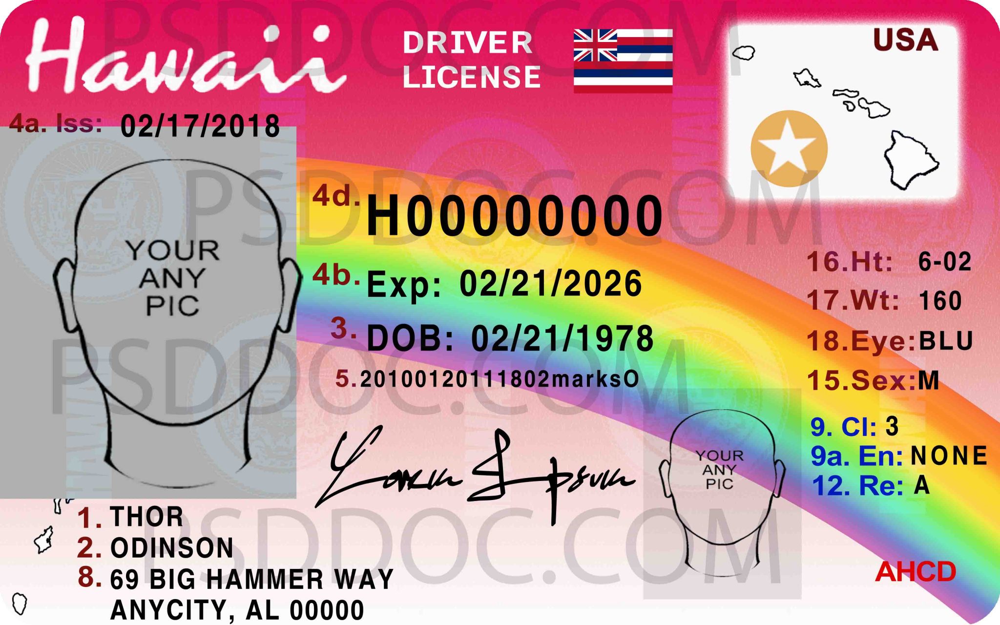 USA Hawaii Driver License front back sides - PSD Store