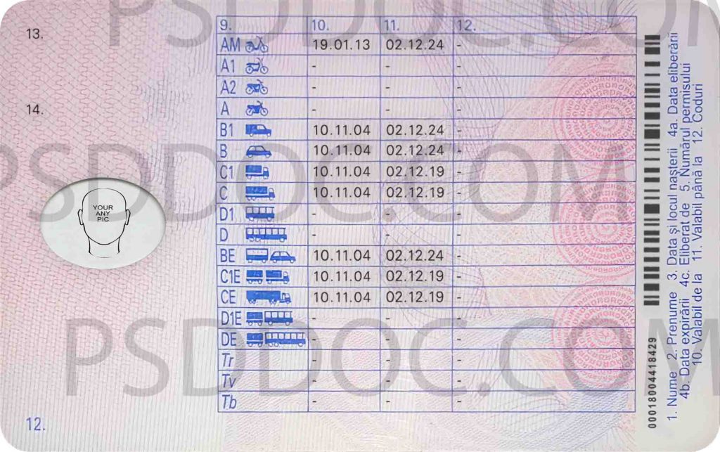 Romania Driver License front back sides - PSD Store