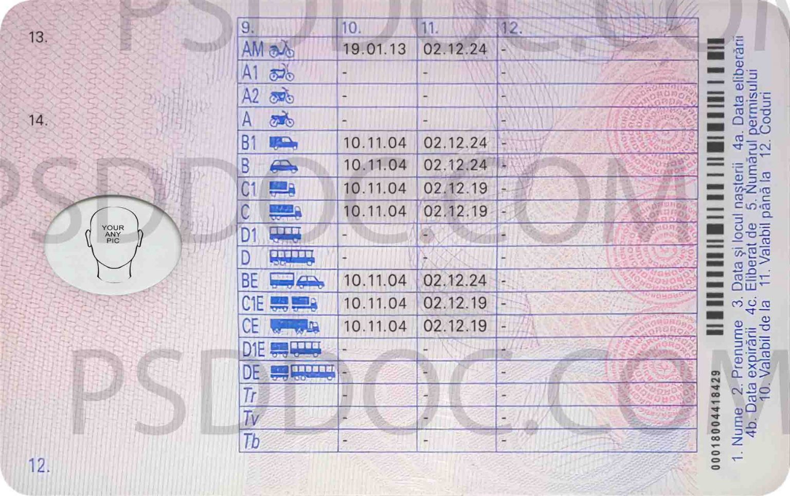 Romania Driver License front back sides - PSD Store